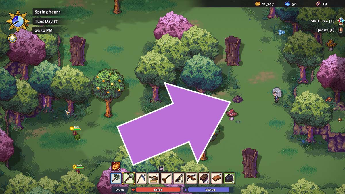Sun Haven: Treasure Hunt – Dig Site Locations — Raider King